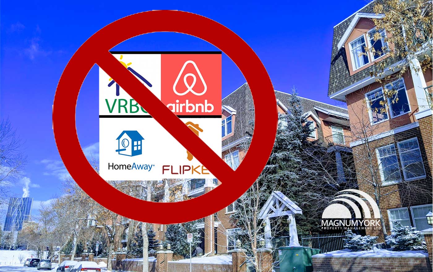 Vrbo Airbnb Kangmusofficial Vrbo Airbnb Kangmusofficial