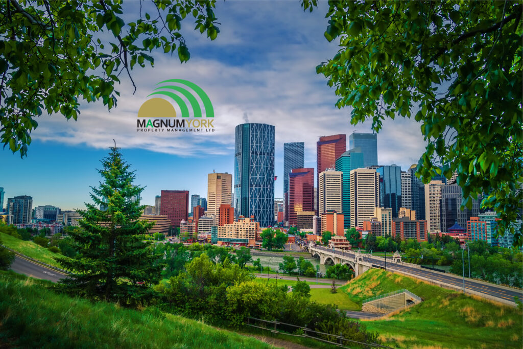 Property Managers Archives - Magnum York Property Management